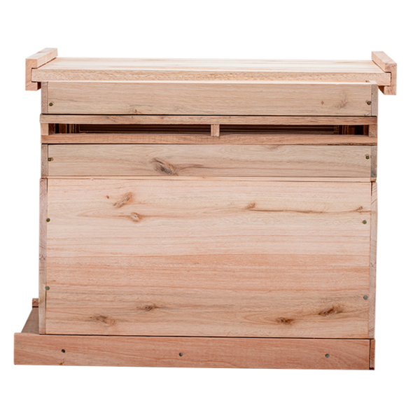 Caixa Colmeia Abelha Coletor de Propolis Apis Completa - Agrobees