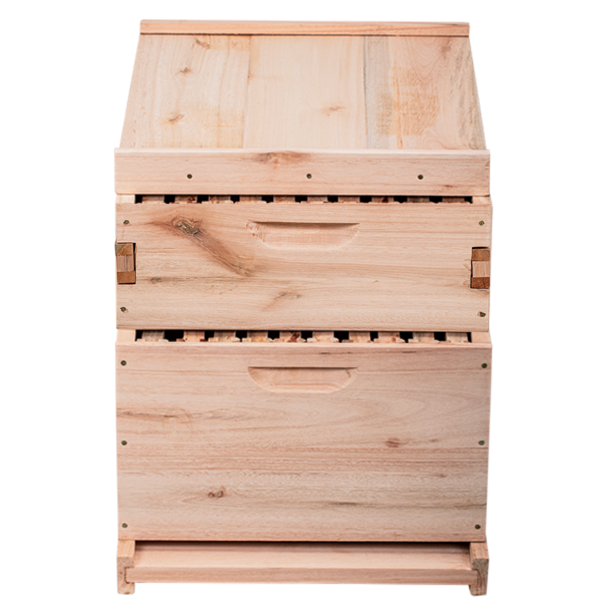 Caixa Colmeia Abelha Coletor de Propolis Apis Completa - Agrobees